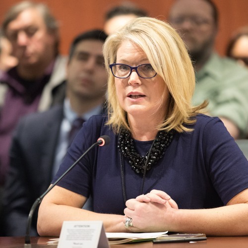 Stream Sen. Somers Updates Lee Elci of 94.9 FM on her fight to protect ...