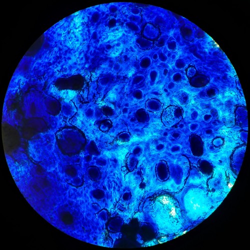 Stream Øbskure. | Listen to November - Arrayed EP Inc. Axoon Remix ...