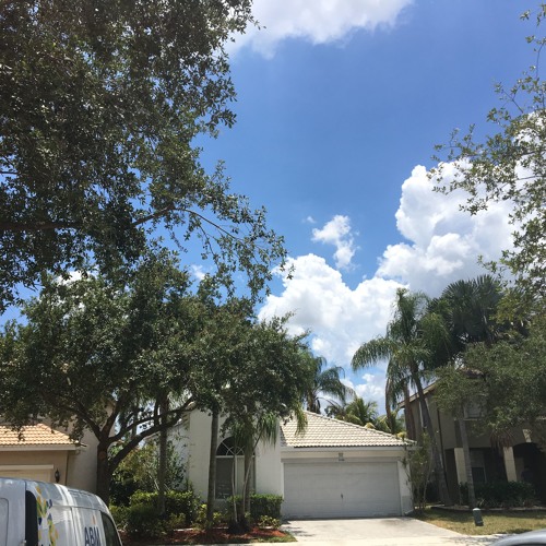 Stream Blood Slide Summer Skit By Blood Slide Archive Listen Online