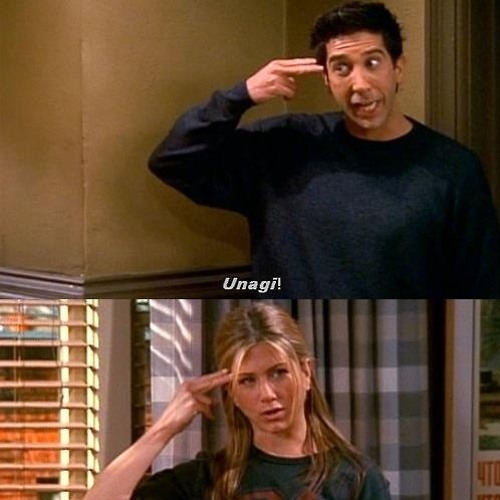 Unagi Friends
