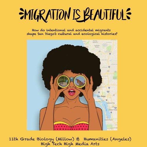 Stream Rachel Angeles | Listen to Migration is Beautiful playlist ...