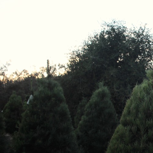 Stream Normal Song by Ellisar | Listen online for free on SoundCloud