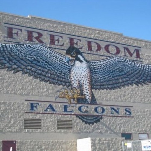 Stream Freedom Anthem (Lil B Bitch Mob Remix) G-ology & Mojo by g-ology ...