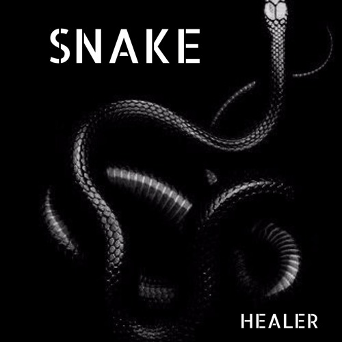 Stream SNAKE by HEALER | Listen online for free on SoundCloud