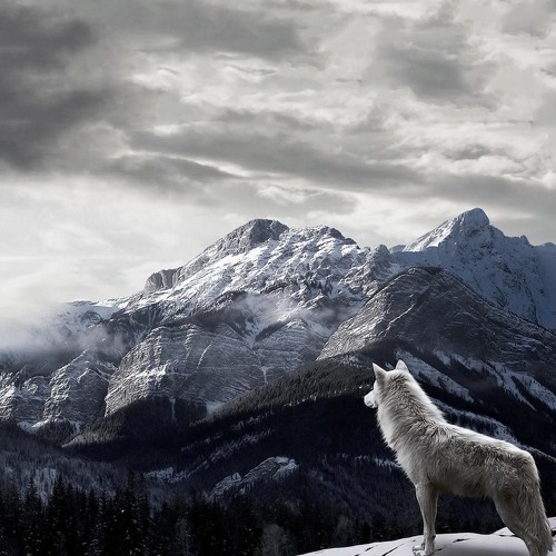 Stream MTV Mix Vol.4 by MTV | Listen online for free on SoundCloud