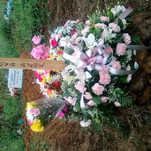 Stream We Alive In Loving Memory Of The Love Ones We Lost No Time To Play By Mitsi Patrick stream-we-alive-in-loving-memory-of-the-love-ones-we-lost-no-time-to-play-by-mitsi-patrick