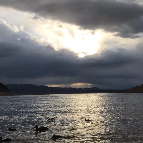 Stream Because by Archie Lane | Listen online for free on SoundCloud