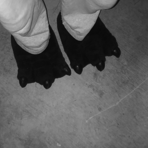 Stream uuu by Archie Lane | Listen online for free on SoundCloud