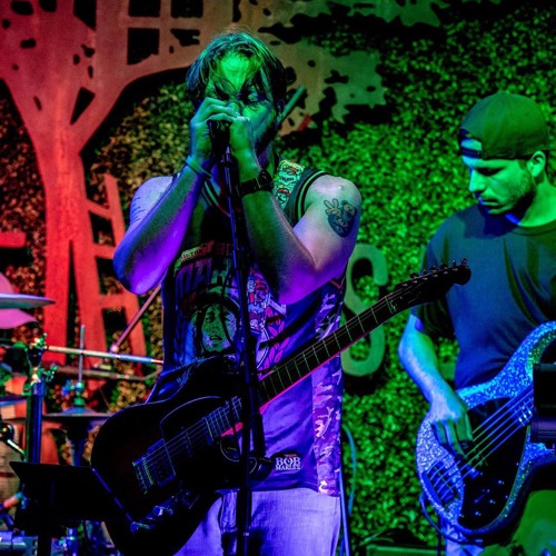 Stream Faded Roots | Listen to Covers playlist online for free on ...