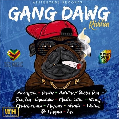 Stream Viking - Fool Bway (Gang Dawg Riddim 2019) Whitehouse Records by ...
