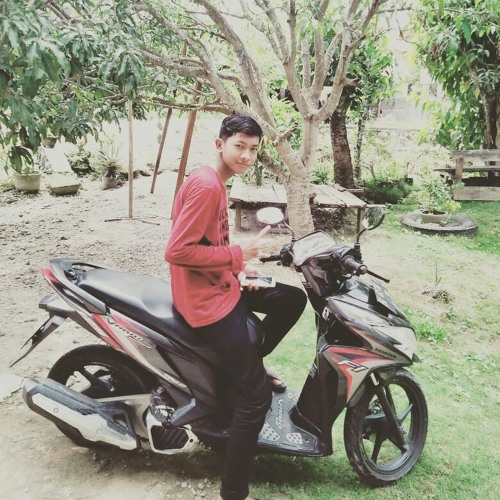 Stream AMAZING JUNGLE DUTCH 2019 NGEGAS by Wilson Cheah | Listen online ...