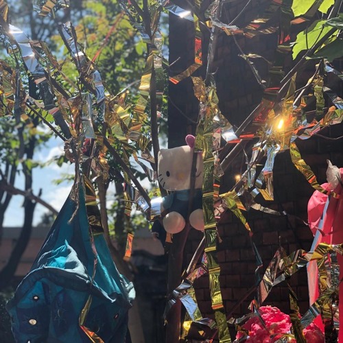 Stream Paul Froehlich Garten (live on minimalradio.de) by yNOT | Listen ...