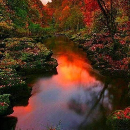 Stream Tina by J.Rivas | Listen online for free on SoundCloud