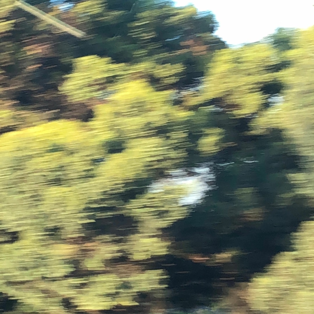 Stream 50 Bones (ft. Jordan Hamilton) (Prod. EZEKEY) by Santino Jones ...