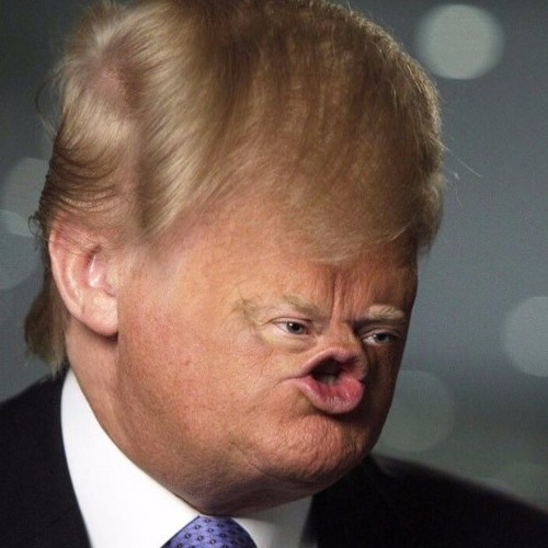 Stream Tronald Dump by Parallel_Sessionsz | Listen online for free on SoundCloud