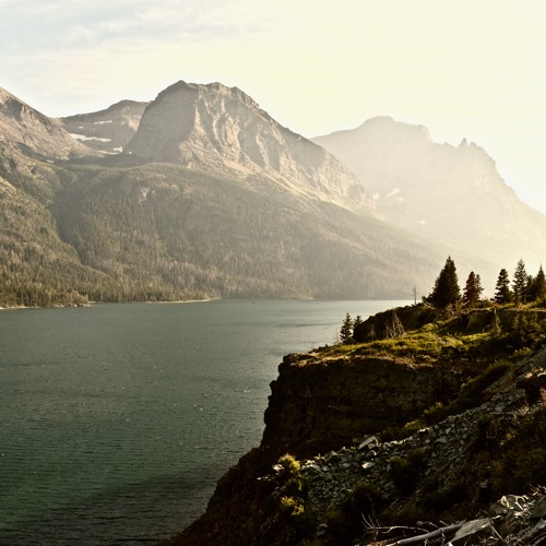 Stream The Ash Tree by Jon D. Nelson | Listen online for free on SoundCloud