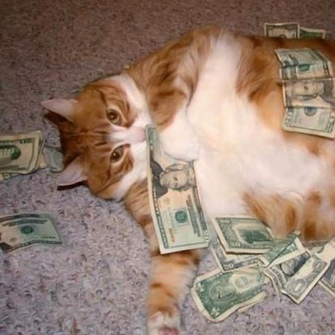 Stream summer nights by Jason Ceballos | Listen online for free on ...