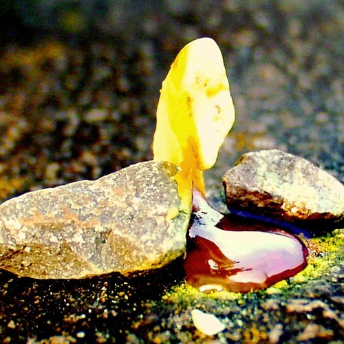 Stream SEE . GOD MUVA - 6:16:19, 11.02 PM by Colet Okhan "SSSHHIAM ...