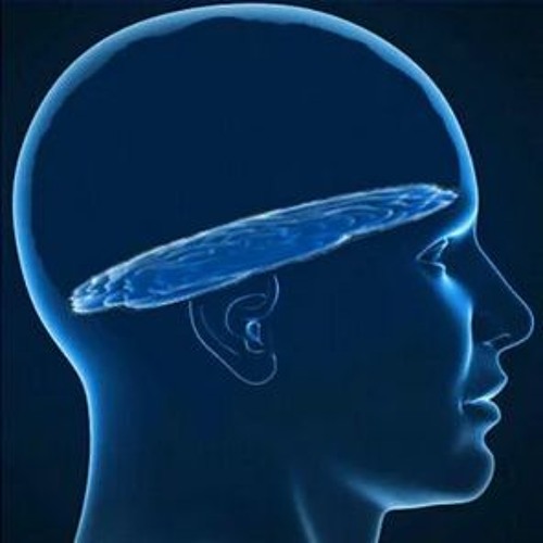 Stream Flat Brain Society by Delta Petra | Listen online for free on ...