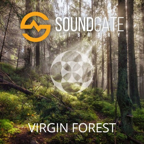 Stream SoundGateLibrary | Listen to VIRGIN FOREST playlist online for ...