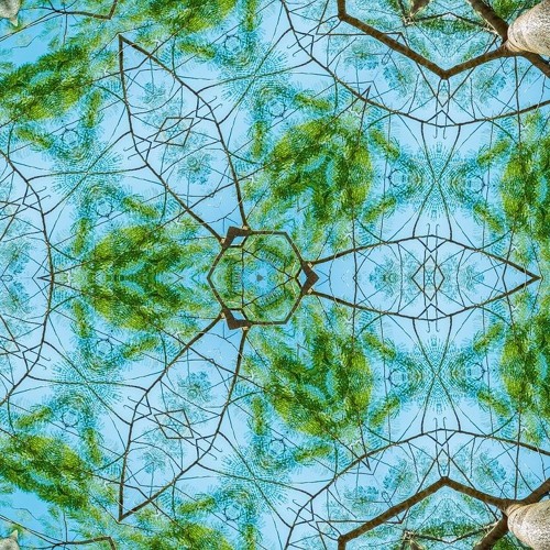 Stream Inception by Apoluo | Listen online for free on SoundCloud