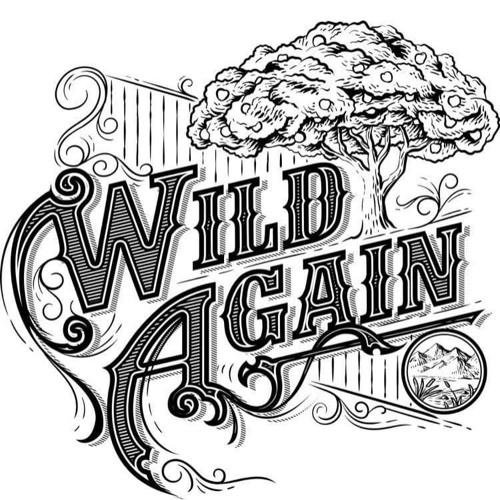 Stream Wild Again (Kaeden's Song) by Cory James Mitchell Band | Listen ...