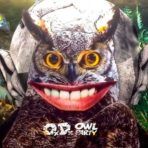 Stream Premiere: Only Drugs - Owl Party (Deepkey Remix) by Deep House ...