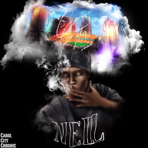 Stream MADE IN DADE ft. Spyro (Prod.TNO) by Nell | Listen online for ...