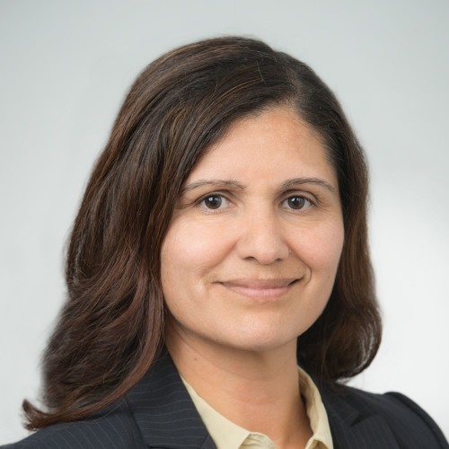 Stream episode Digital Download with Lidia Fonseca by Diverse ...