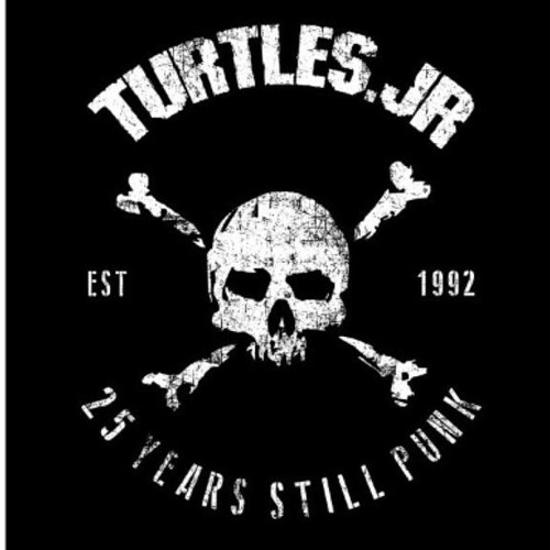 Turtles Jr Logo The Turtle Project The Eizaguirre Lab