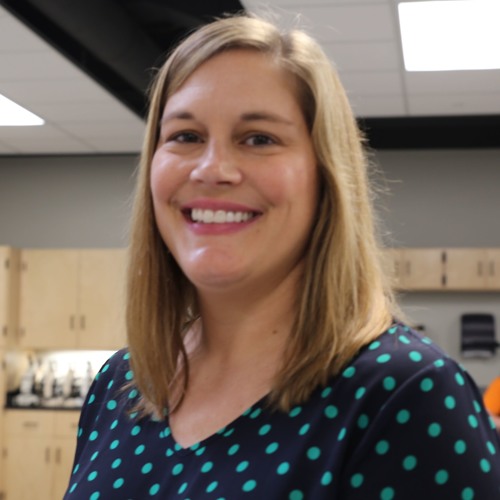 Stream episode Faces of 501: The Podcast - Kari Ritter by Topeka Public ...