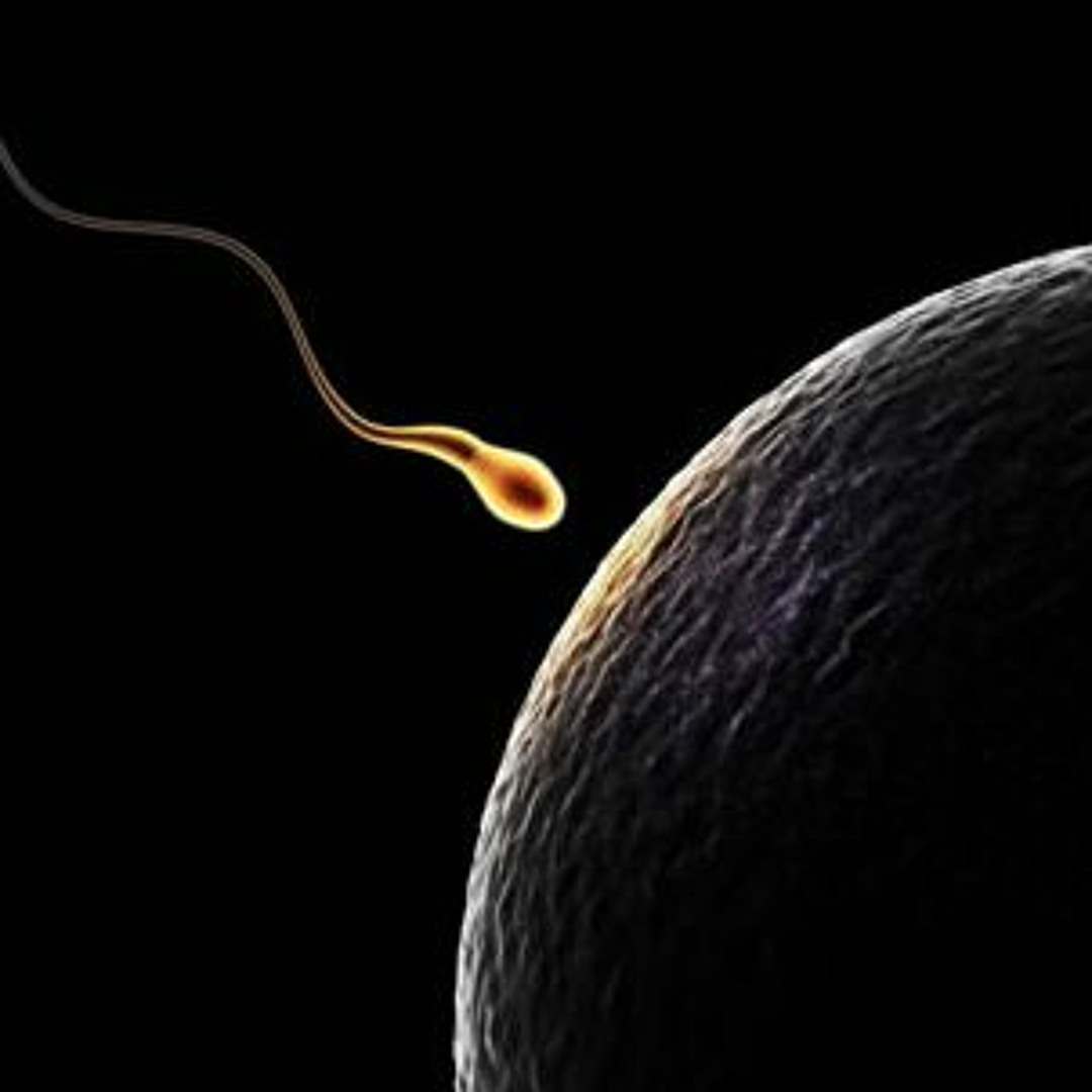 Stream Lecture On Sexist Narratives In The Science Of Reproductive ...