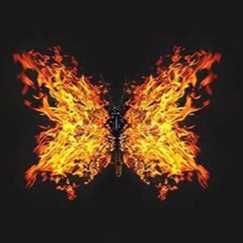 Stream Hot Butterfly by Beats by GOU | Listen online for free on SoundCloud