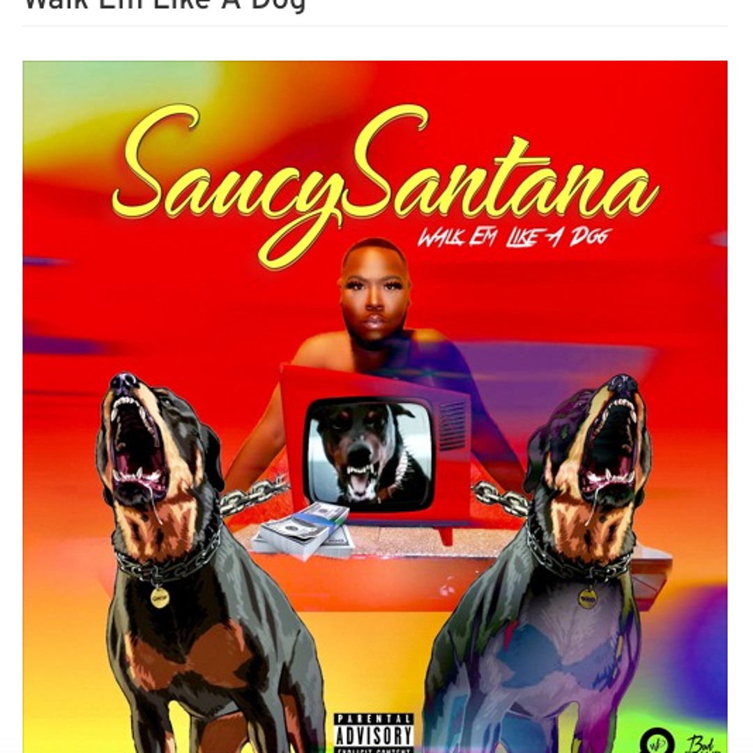 Stream Walk Em Like A Dog by Deejay Richie Rich | Listen online for ...