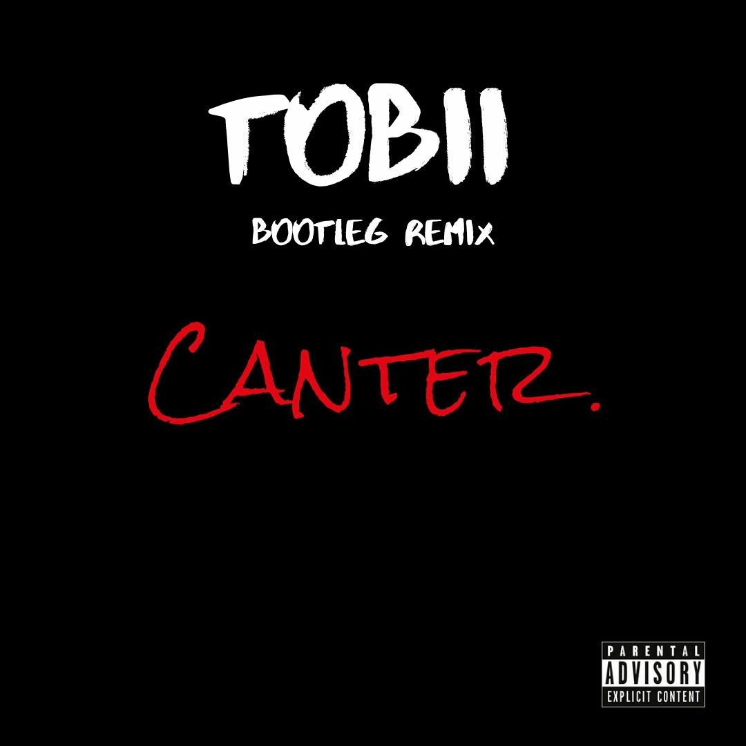 Stream Canter - Gerry Cinnamon (Tobii Bootleg Remix) by Tobii | Listen ...