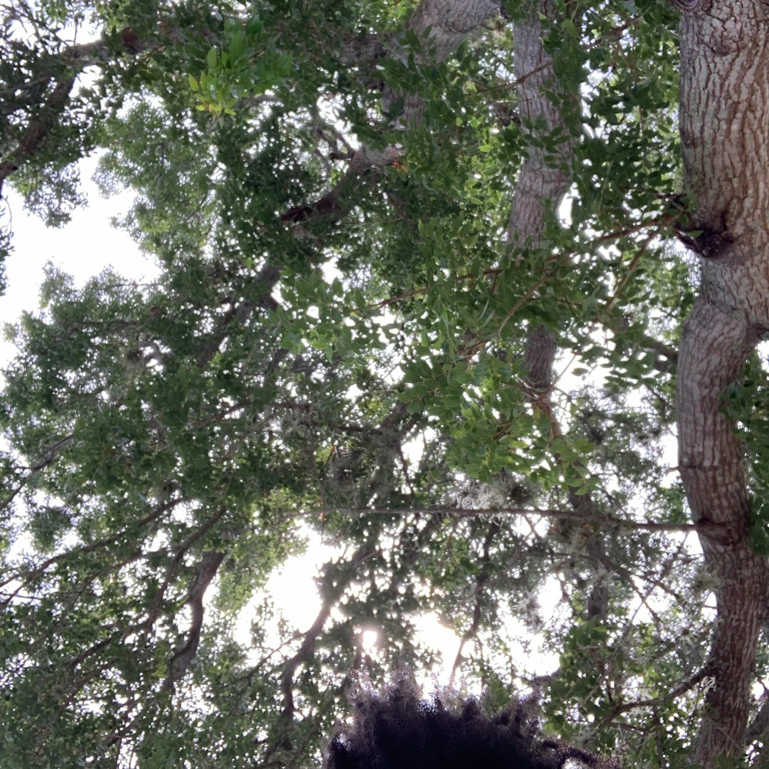 Stream gotta go! (prod. paryo) by nights (@luvnights) ★ | Listen online ...