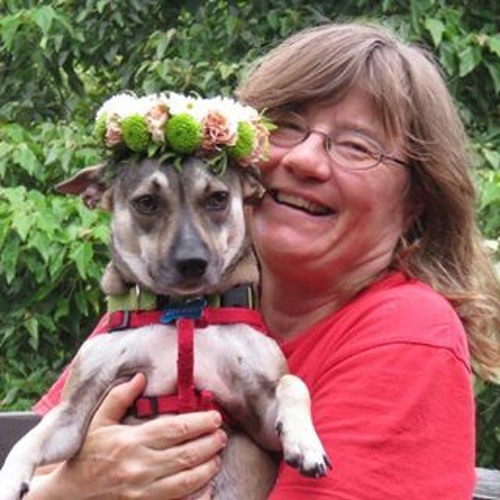 Susan Schultz's Instagram, Twitter & Facebook on IDCrawl