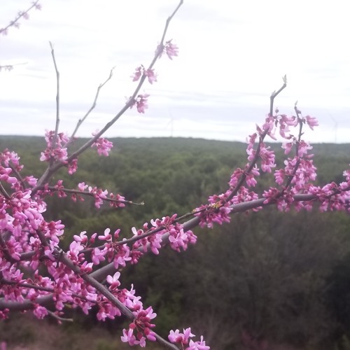 Stream Ain't Life a Brook by Jacob Nance | Listen online for free on ...