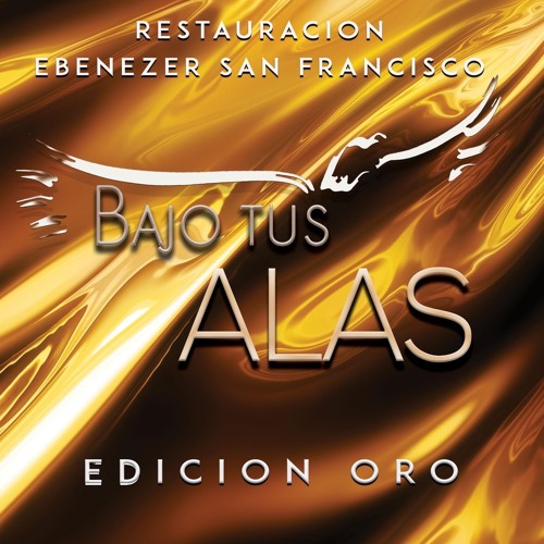 Stream Medley Ebenezer San Francisco Multitracks By Vidastudio