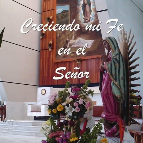 Stream Creciendo mi fe en el SEÑOR. Mensaje #8 Ama a tu prójimo. No ...
