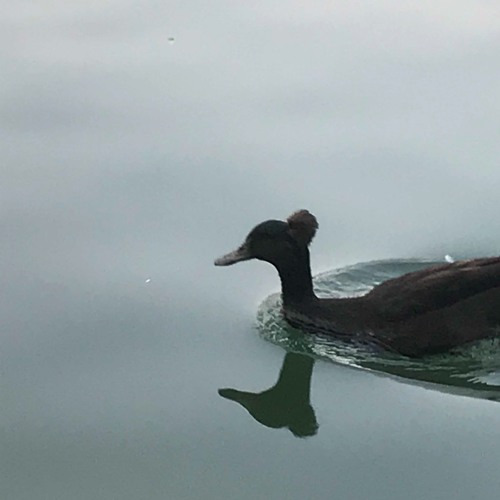 Stream right by Archie Lane | Listen online for free on SoundCloud