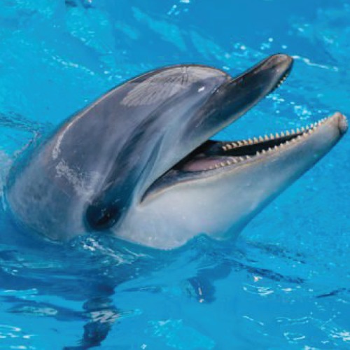 Stream Flo Dill & Marathon Man @ Red Light Radio by South of North ...