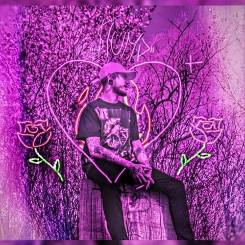 Stream "Woods" (Prod. VanWorkum) OFFICIAL AUDIO 🐞🌳🌲 by Donald $lump 🕊 ...