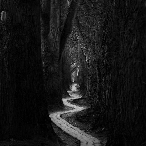 Stream Dark Woods Ft. WildBoyRoy and Ch33to (prod. infinite Soul) by ...