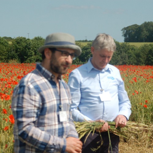 Stream Dr Simon Oxley (AHDB), NOCC 2019 by Agricology | Listen online ...