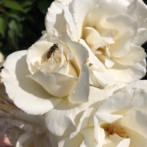 Stream Stuart McCann - A break from the real world by Stuart McCann ...