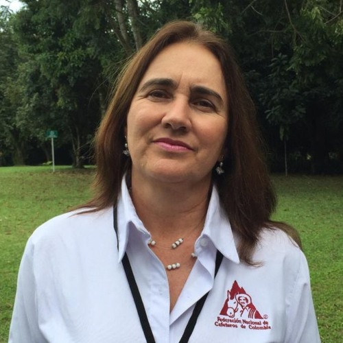 Stream María Helena Garcés, caficultora y representante al Comité Dtal ...