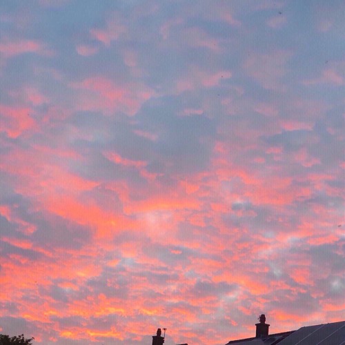 Stream The Caterpillar by KiLLaFiSh | Listen online for free on SoundCloud