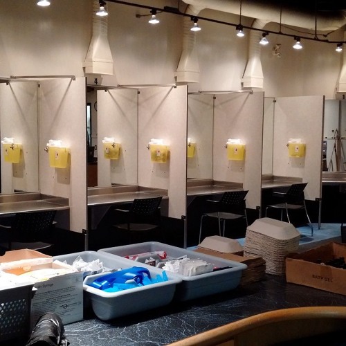 Stream Supervised Injection Sites, Harm Reduction & the Social ... Stream Supervised Injection Sites, Harm Reduction & the Social ...