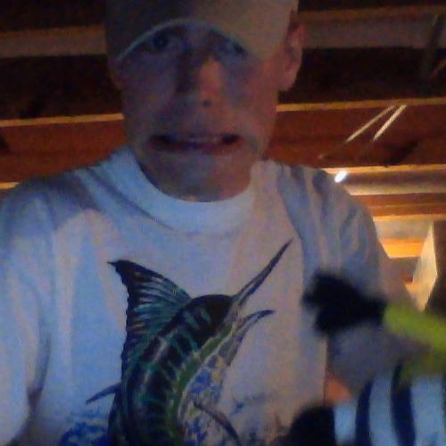 Stream Cheesy Cheddar Bay Biscuits by Tyler Adamson | Listen online for ...